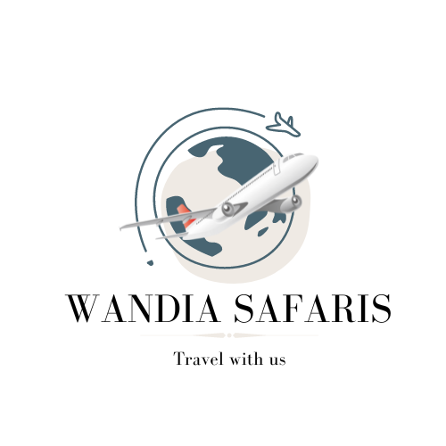 Wandia Tours and Safaris